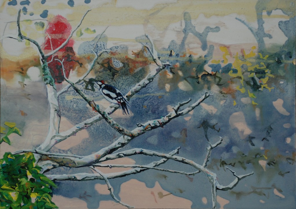 2016 – ann quinn