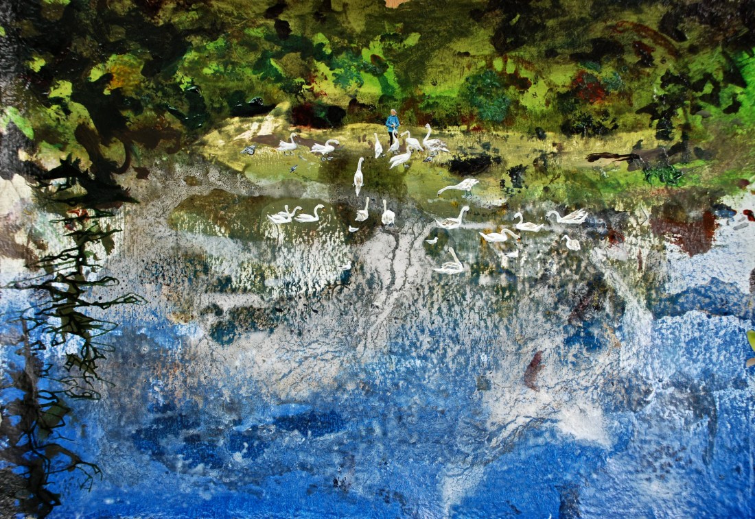 2016 – ann quinn