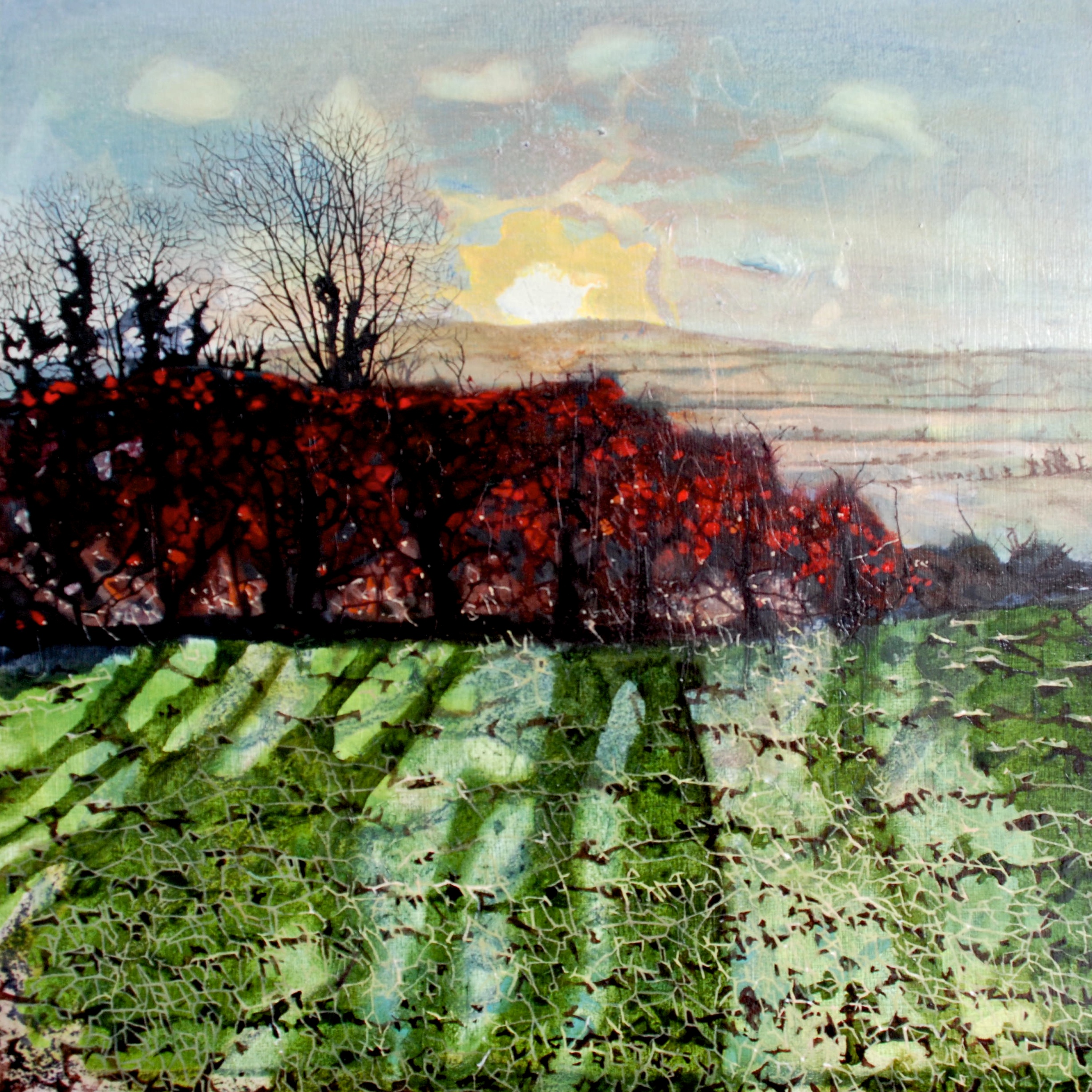 2016 – ann quinn