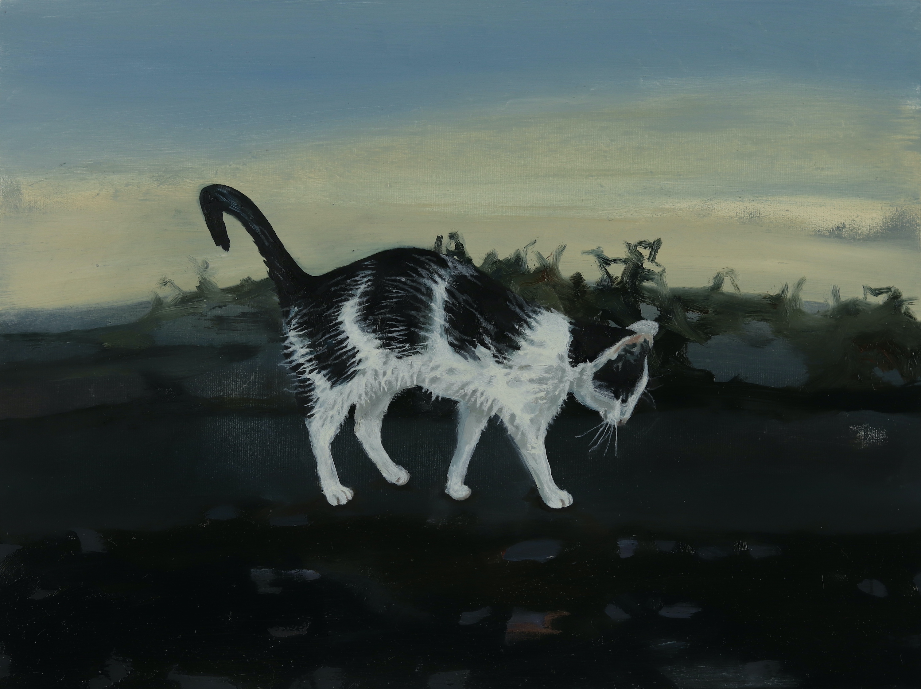 2023 – ann quinn
